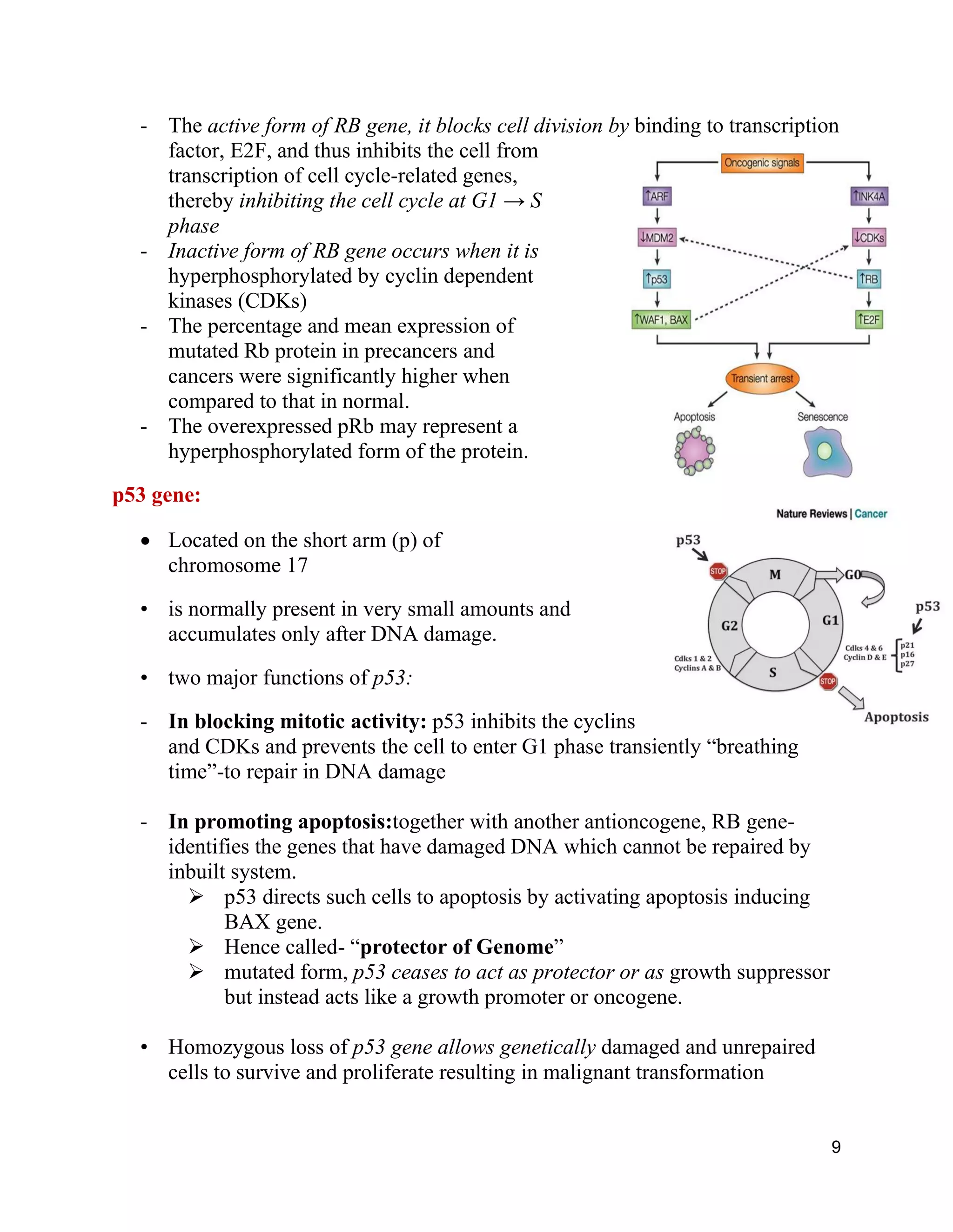 Carcinogenesis & Mechanism of DNA repair | PDF