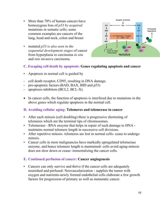Carcinogenesis & Mechanism of DNA repair | PDF