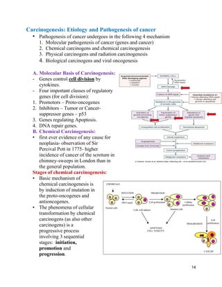 Carcinogenesis & Mechanism of DNA repair | PDF