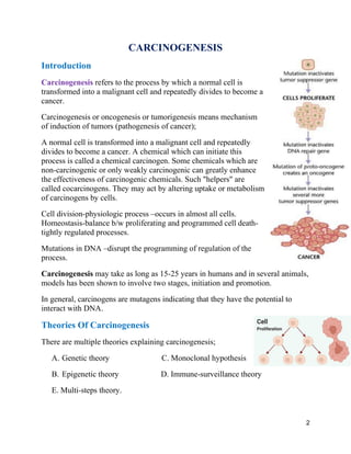 Carcinogenesis & Mechanism of DNA repair | PDF