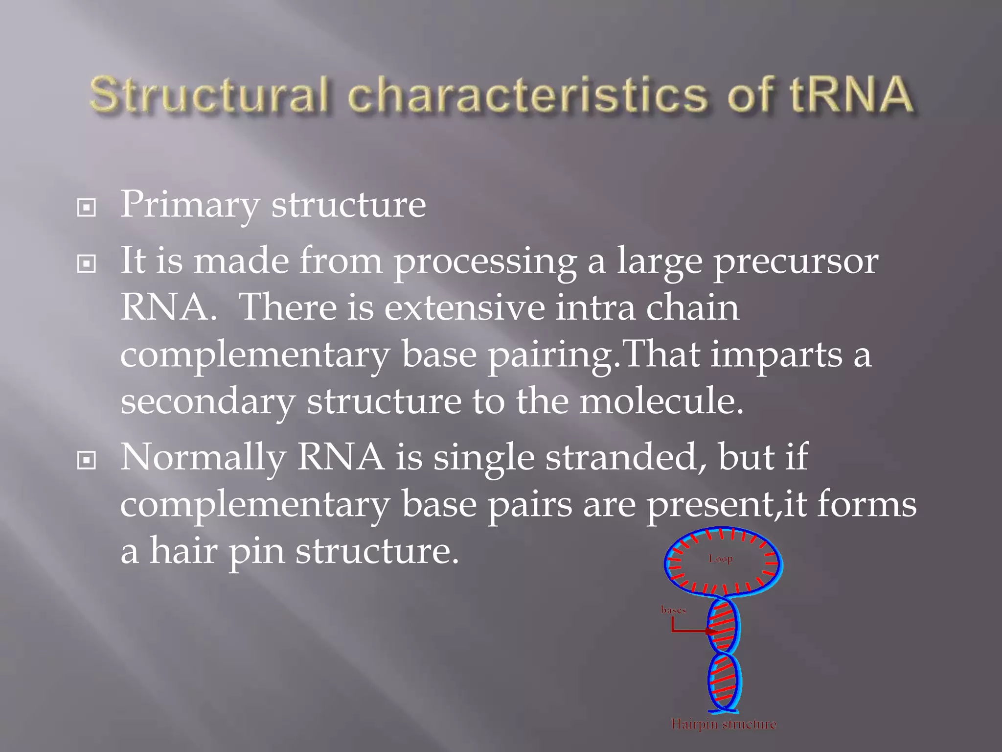 Structure of RNA.pptx