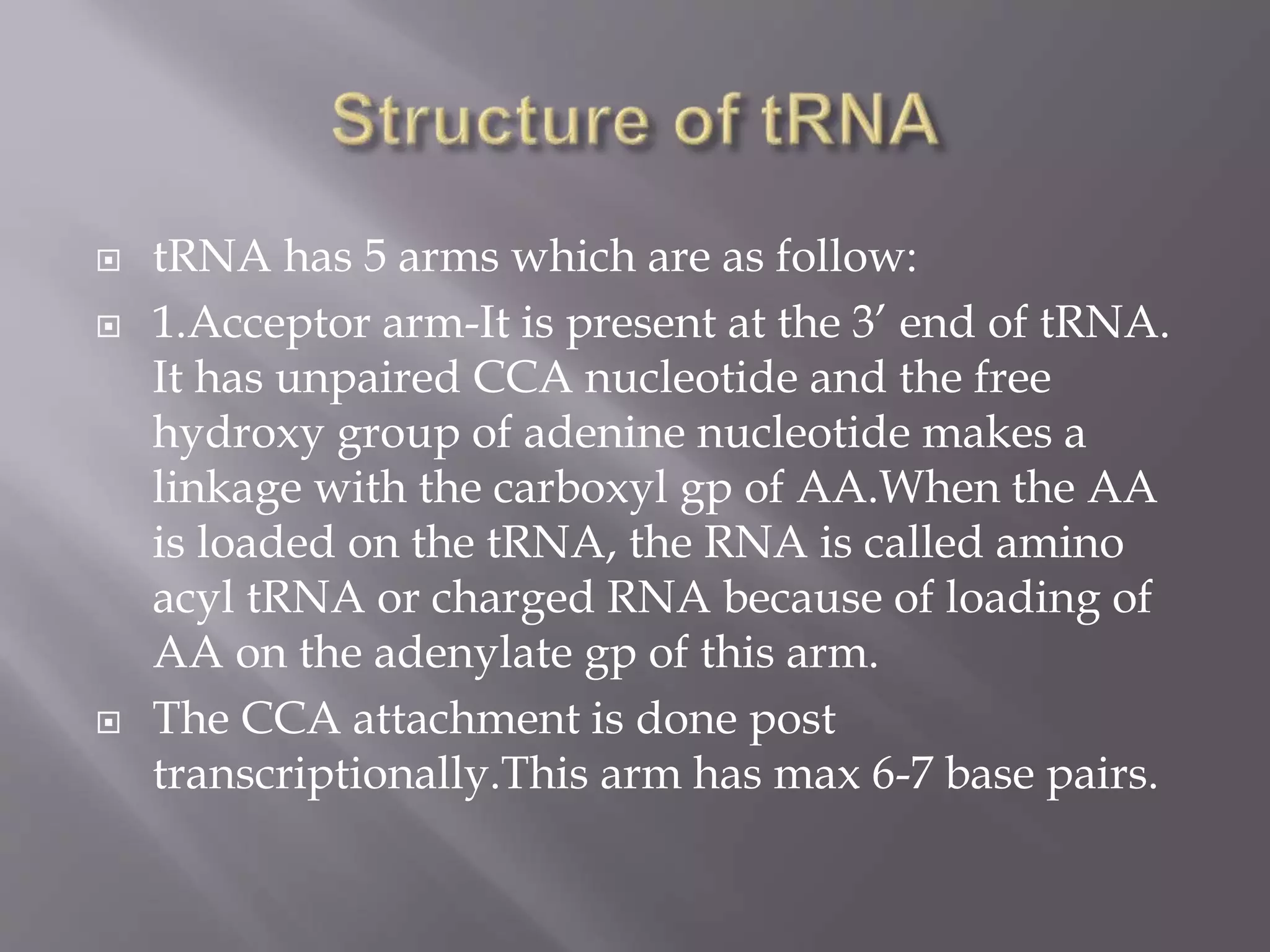 Structure of RNA.pptx