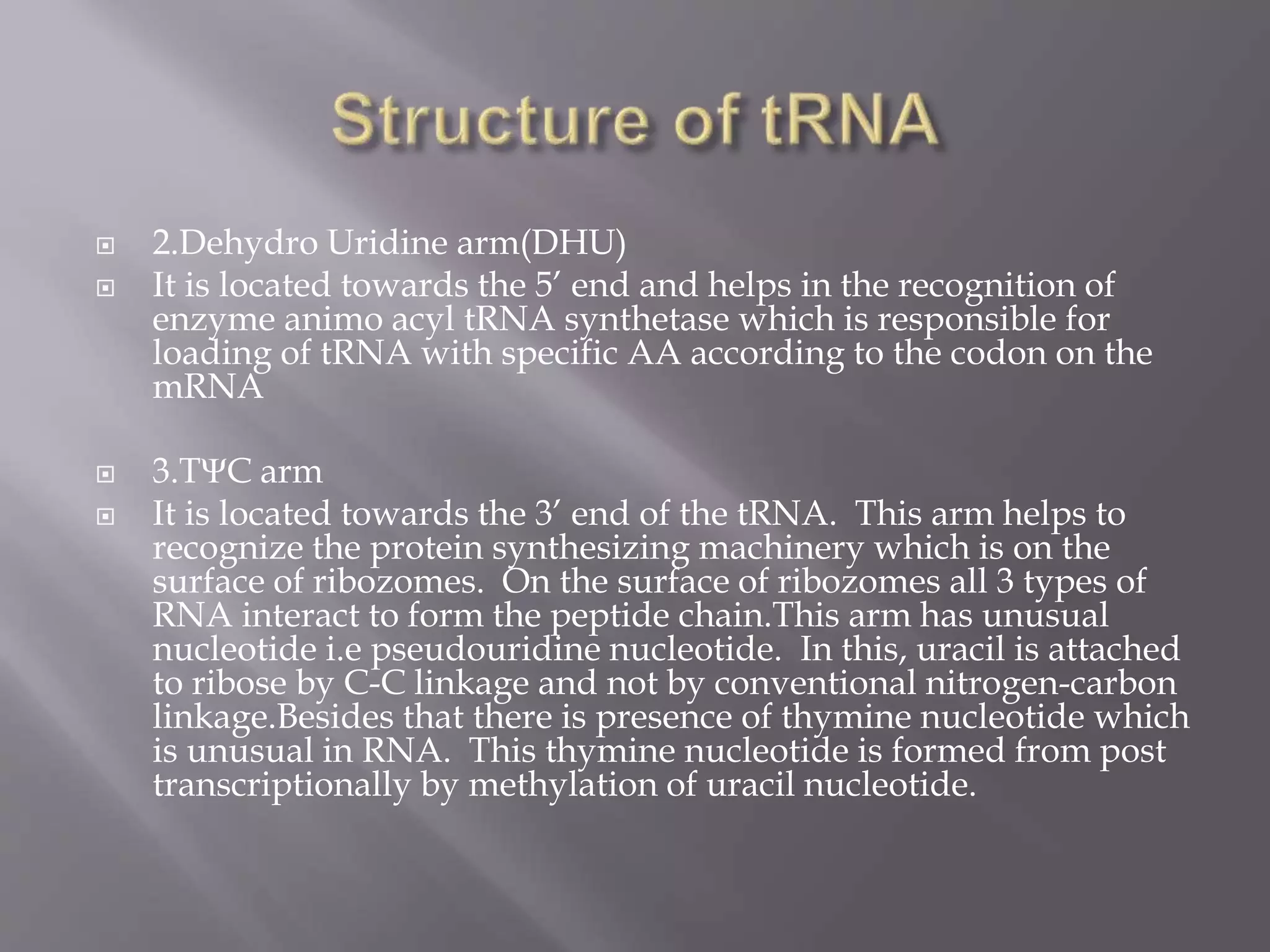 Structure of RNA.pptx