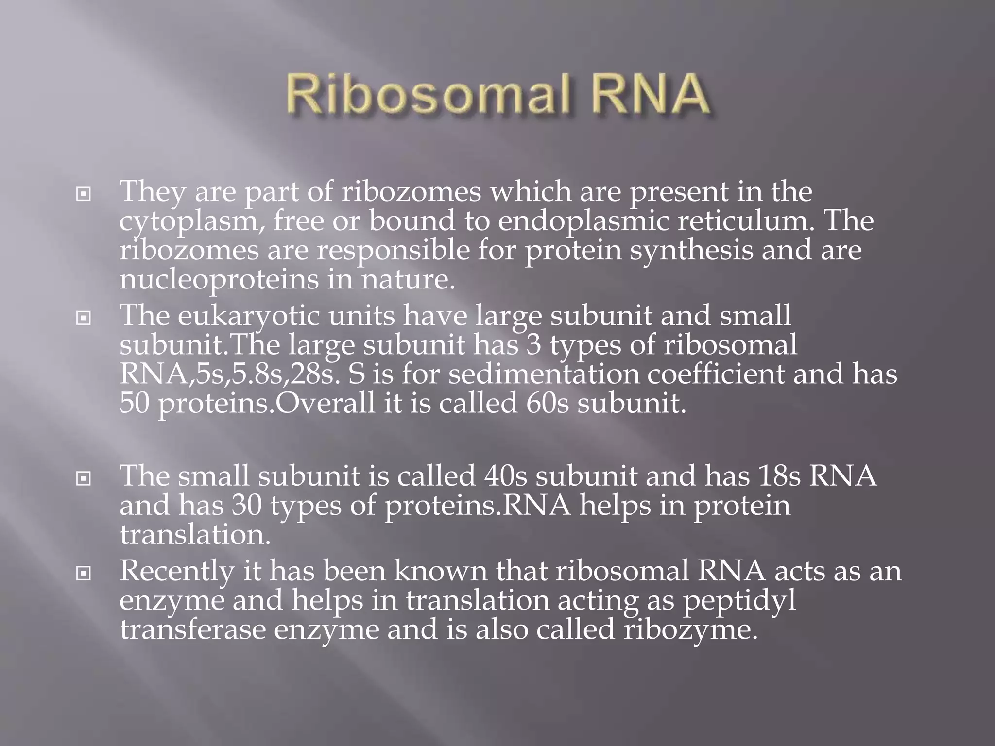 Structure of RNA.pptx