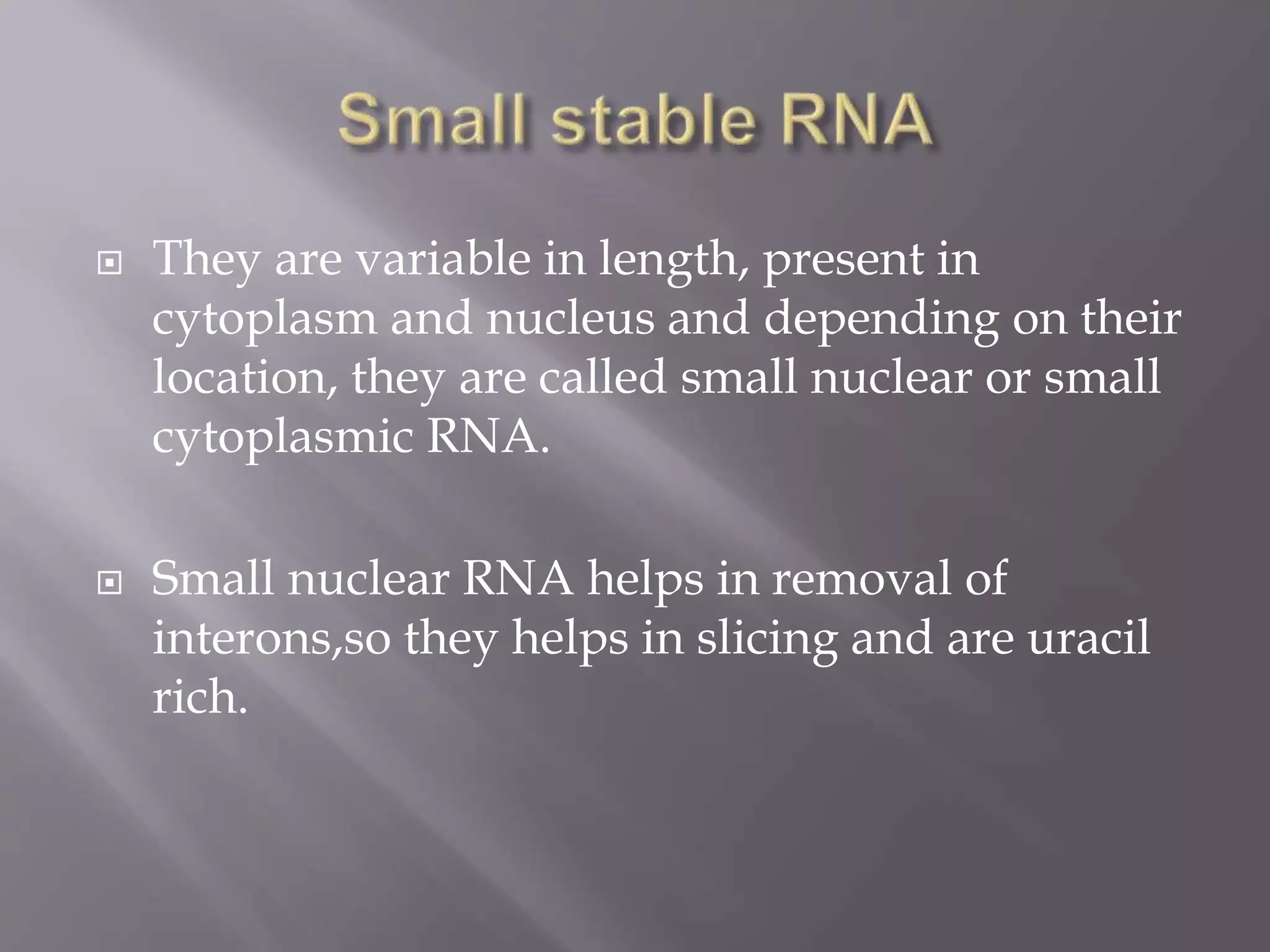 Structure of RNA.pptx