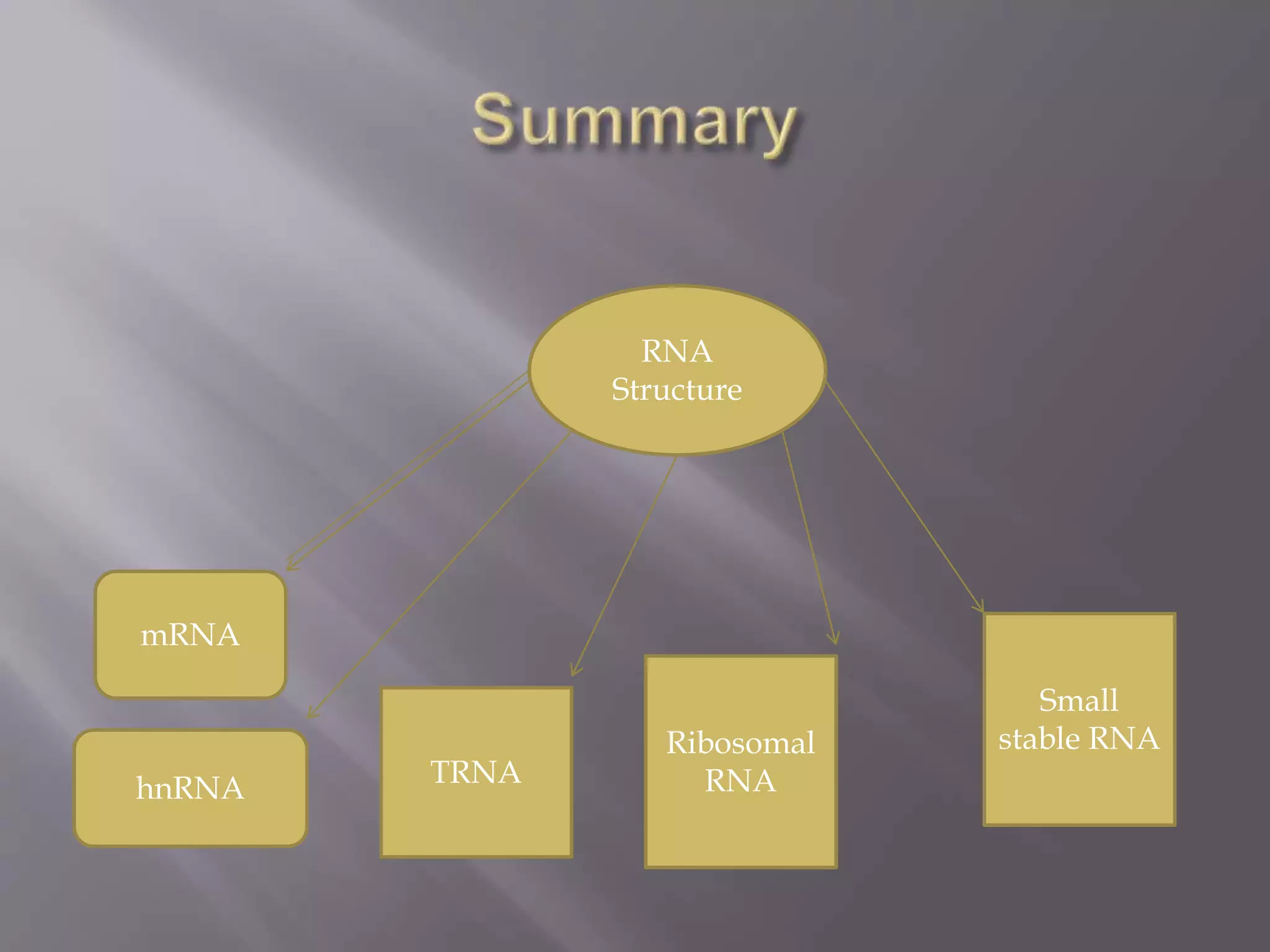 Structure of RNA.pptx