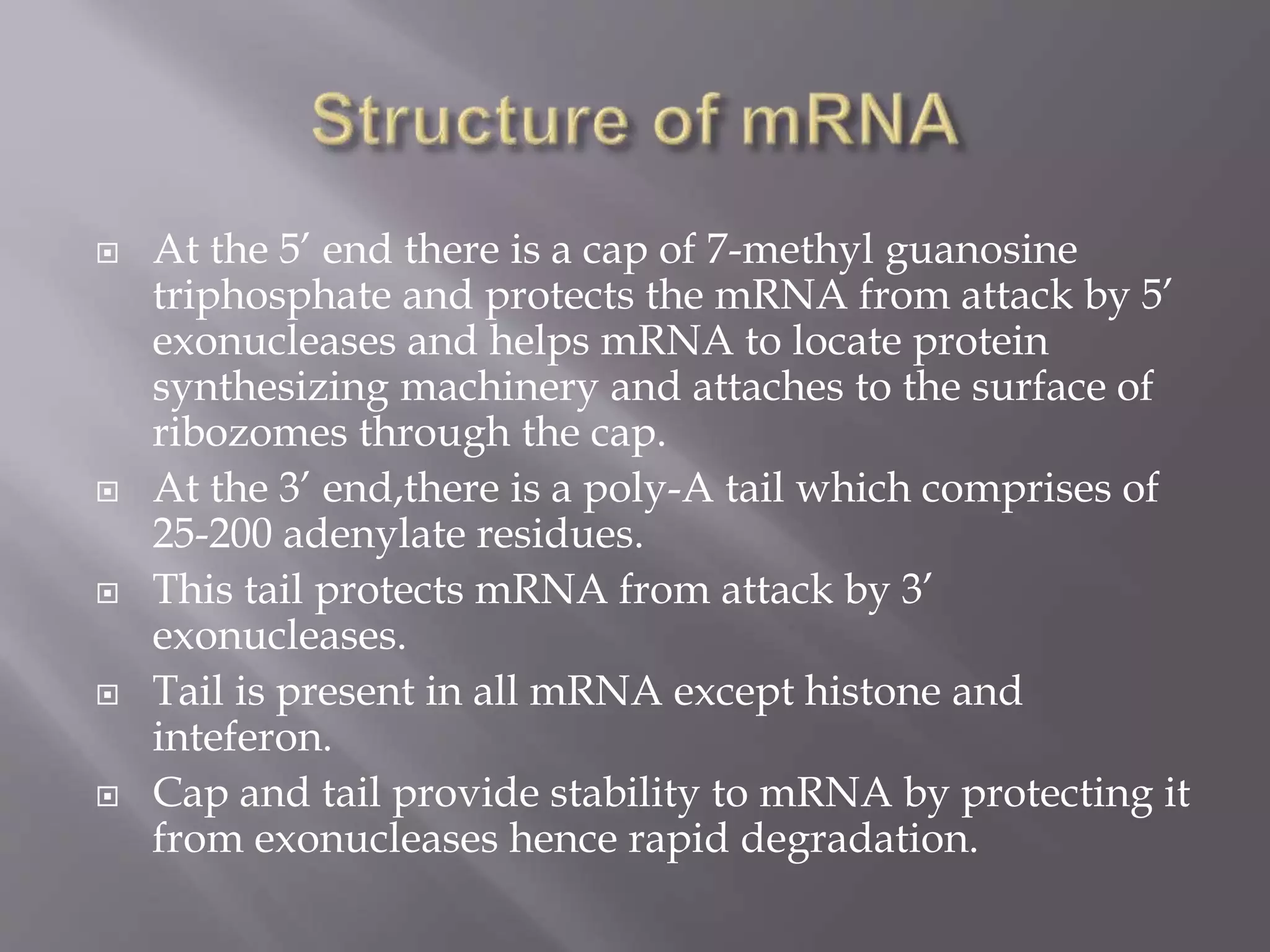 Structure of RNA.pptx