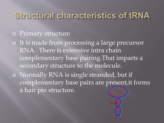 Structure of RNA.pptx