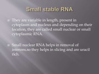 Structure of RNA.pptx