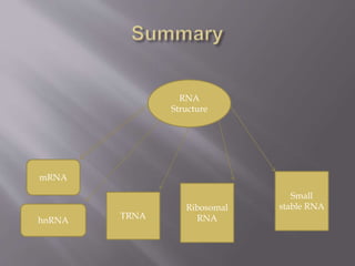 Structure of RNA.pptx