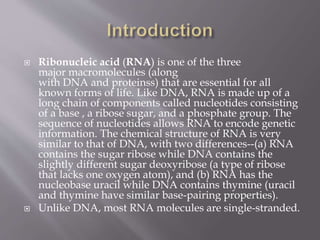 Structure of RNA.pptx