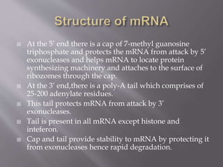 Structure of RNA.pptx