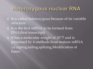 Structure of RNA.pptx