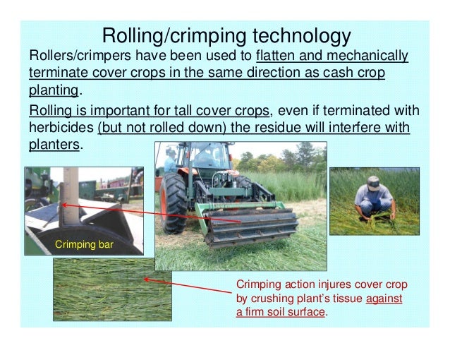 Roller crimper designs for cover crops