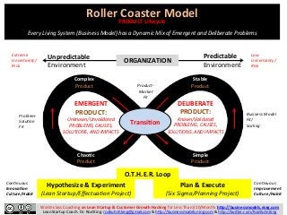 ROLLER COASTER MODEL for Customer Growth Hacking in Lean Startups and ...