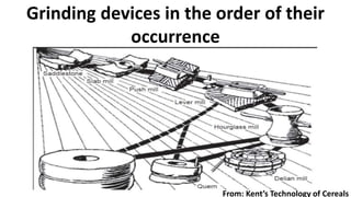 Roller milling of wheat, break rollers and reduction rollers.pptx