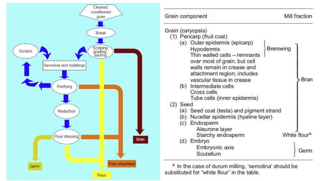 Roller milling of wheat, break rollers and reduction rollers.pptx