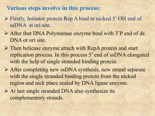 Rolling circle mechanism ppt | PPTX