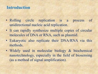 Rolling Circle Replication