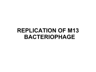 Rolling circle model and m13 bacteriophage replication | PPT
