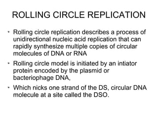 Rolling circle model and m13 bacteriophage replication | PPT