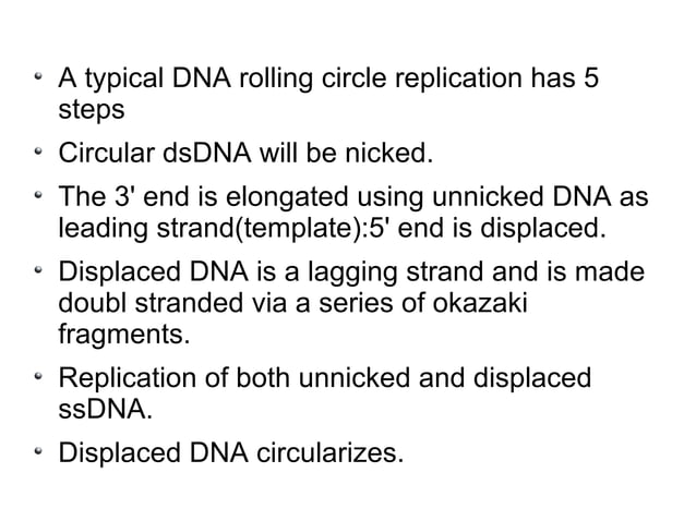 Rolling circle model and m13 bacteriophage replication | PPT