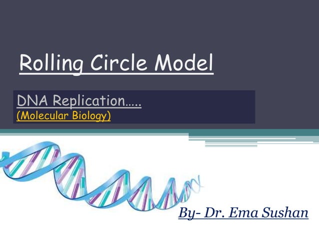 Rolling Circle Replication | PPTX | Chemistry | Science