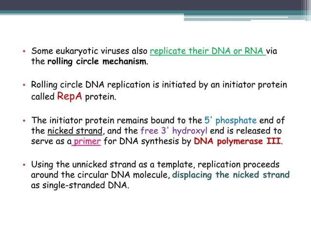 Rolling Circle Replication | PPTX | Chemistry | Science