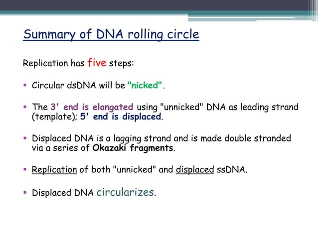 Rolling Circle Replication | PPTX | Chemistry | Science