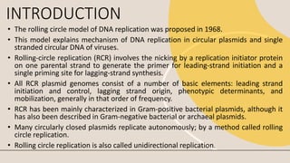 Comprehensive Overview of Rolling Circle Model of DNA Replication | PDF