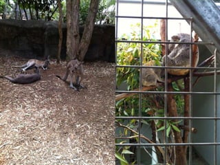 Rolling Photo Presentation | PPTX