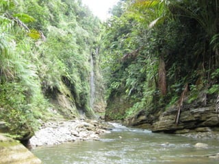 Rolling Photo Presentation | PPTX