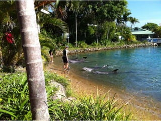 Rolling Photo Presentation | PPTX