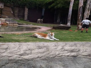 Rolling Photo Presentation | PPTX