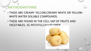 FOOD SCIENCE AND NUTRITION | PPT