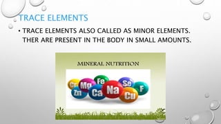 FOOD SCIENCE AND NUTRITION | PPTX
