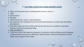 Orchid mycorrhizae (botany) mycorrhizaei | PPTX | Gardening | Home & Garden