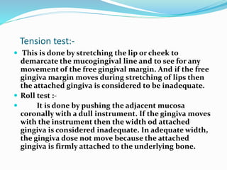Gingiva | PPTX