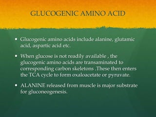glycogen metabolism | PPTX