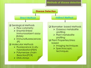 Plant Disease Detection Using I.T. | PPTX