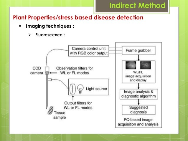 Plant Disease Detection Using I T