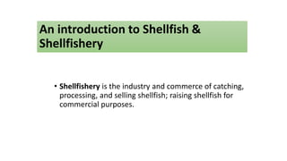 Shellfish Culturing | PPTX