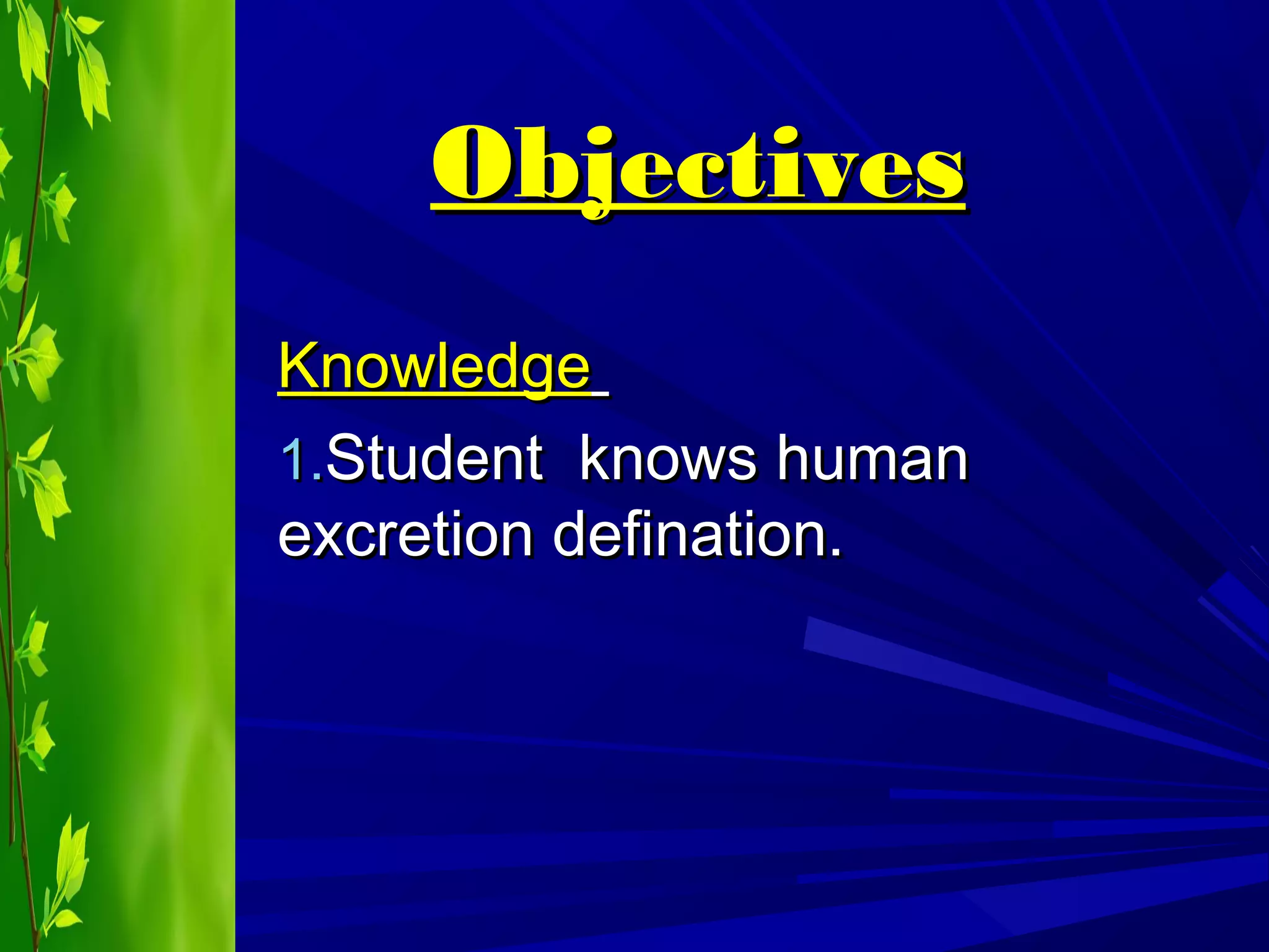 excretory system ppt | PPT
