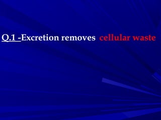 excretory system ppt | PPT