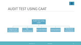 CAAT - Data Analysis and Audit Techniques | PDF
