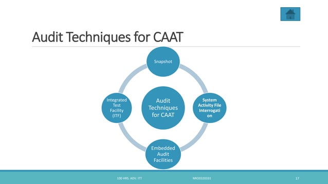 CAAT - Data Analysis and Audit Techniques | PDF