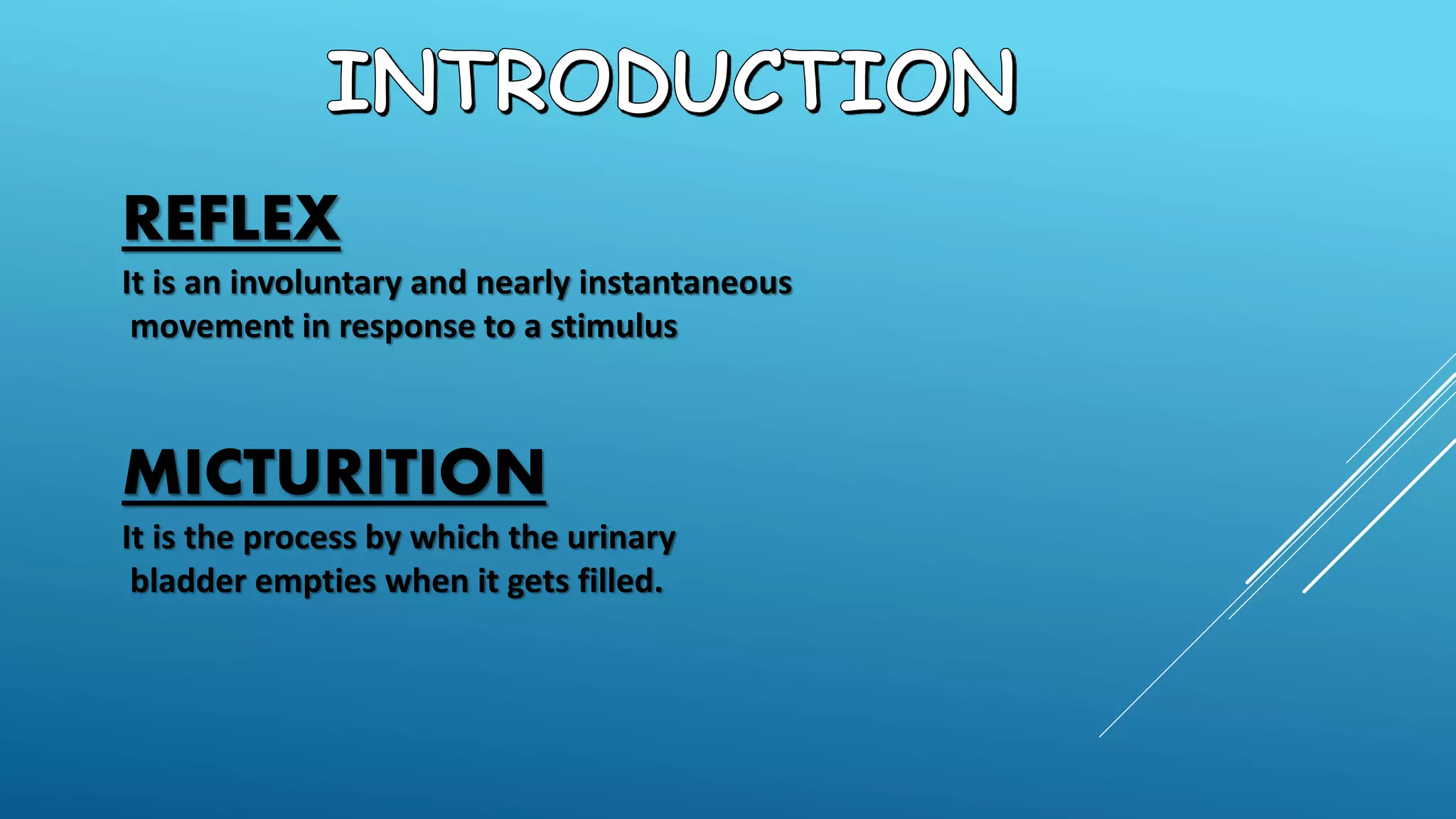 micturition reflex | PPTX