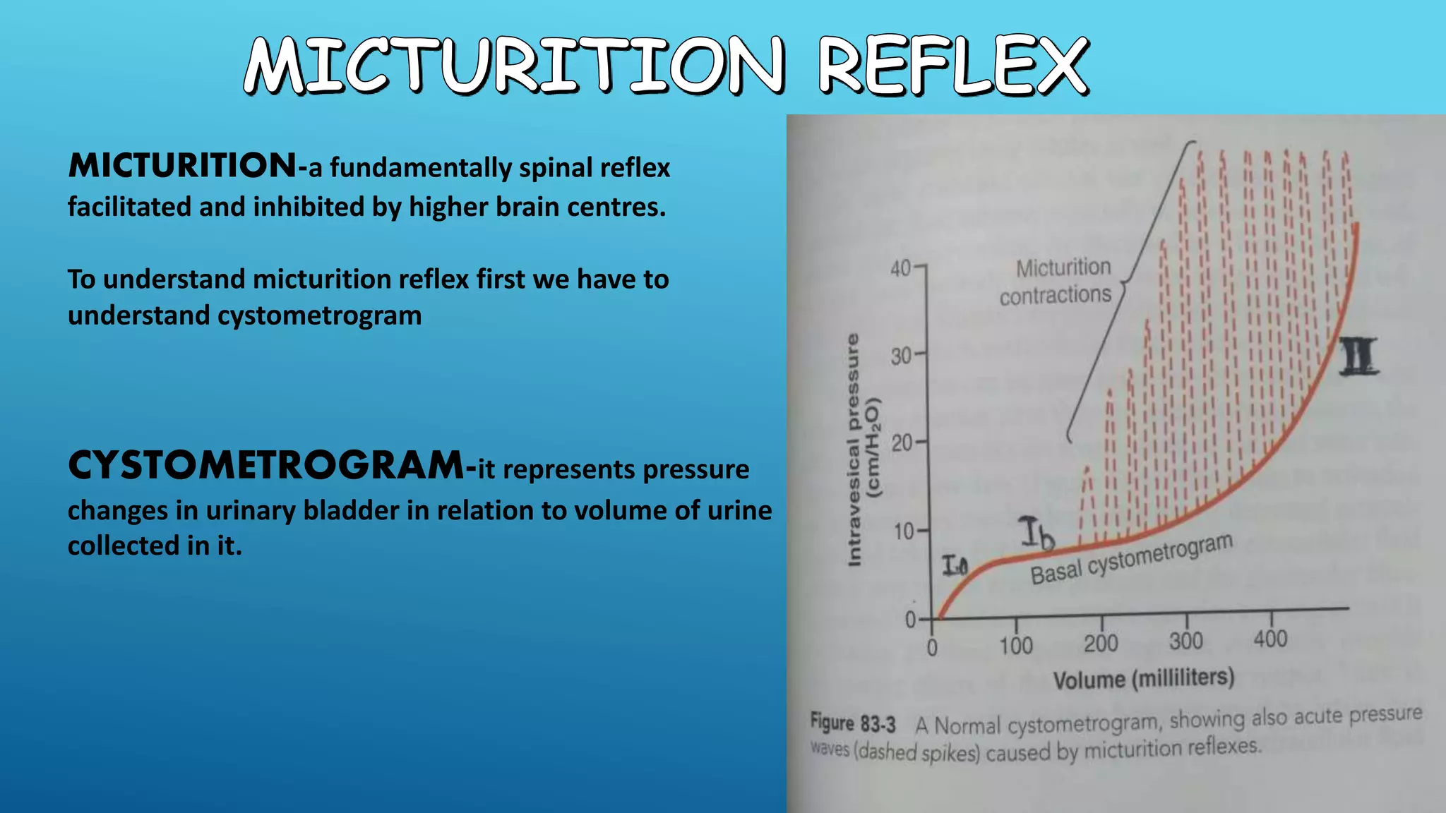 micturition reflex | PPTX