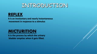 micturition reflex | PPTX