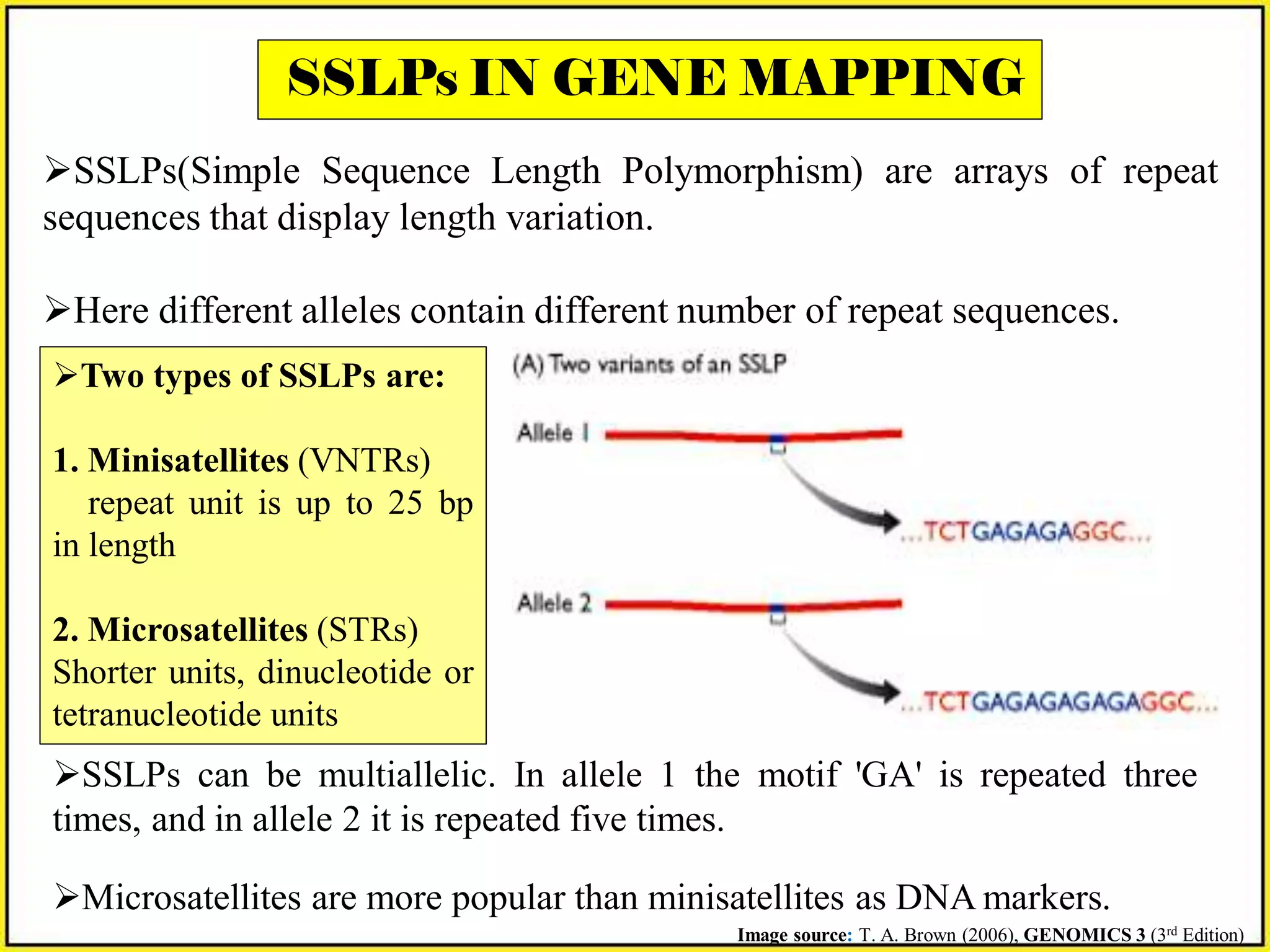 Gene Mapping Methods:Linkage Maps & Mapping with Molecular Markers | PDF